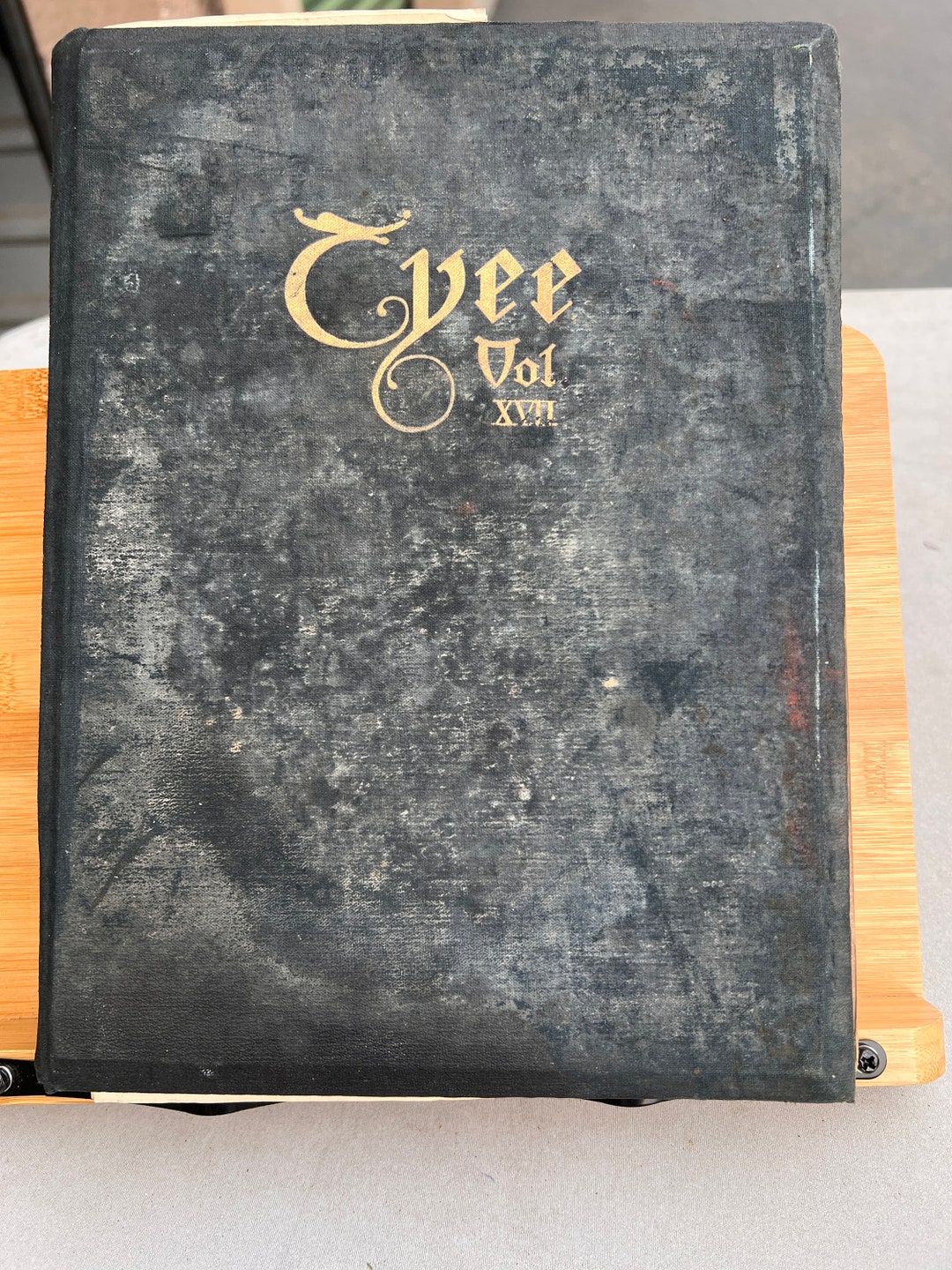 1916 Tyee High School Yearbook SEATTLE, WASHINGTON TAHLKIE - Etsy