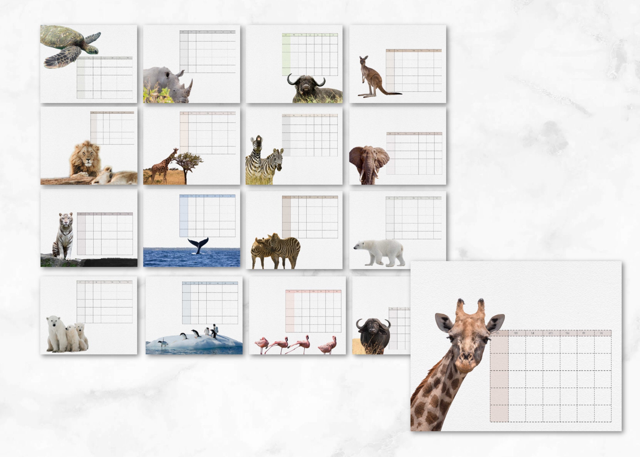 Safari Calendar Animals Calendar Safari Printable - Etsy