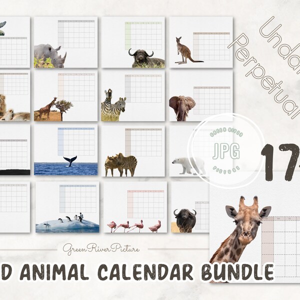 Safari Wall Calendar - Etsy