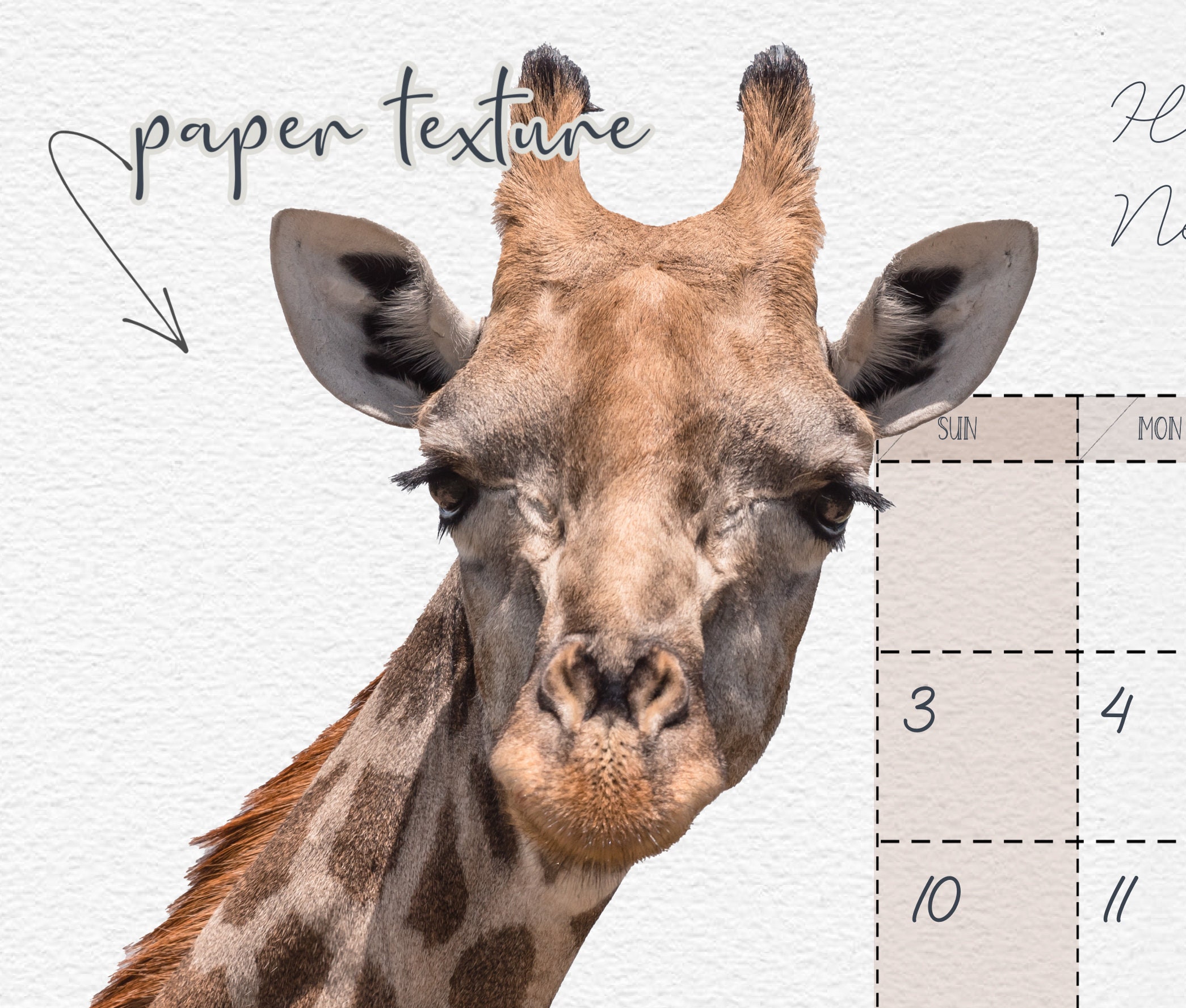 Safari Calendar Animals Calendar Safari Printable - Etsy