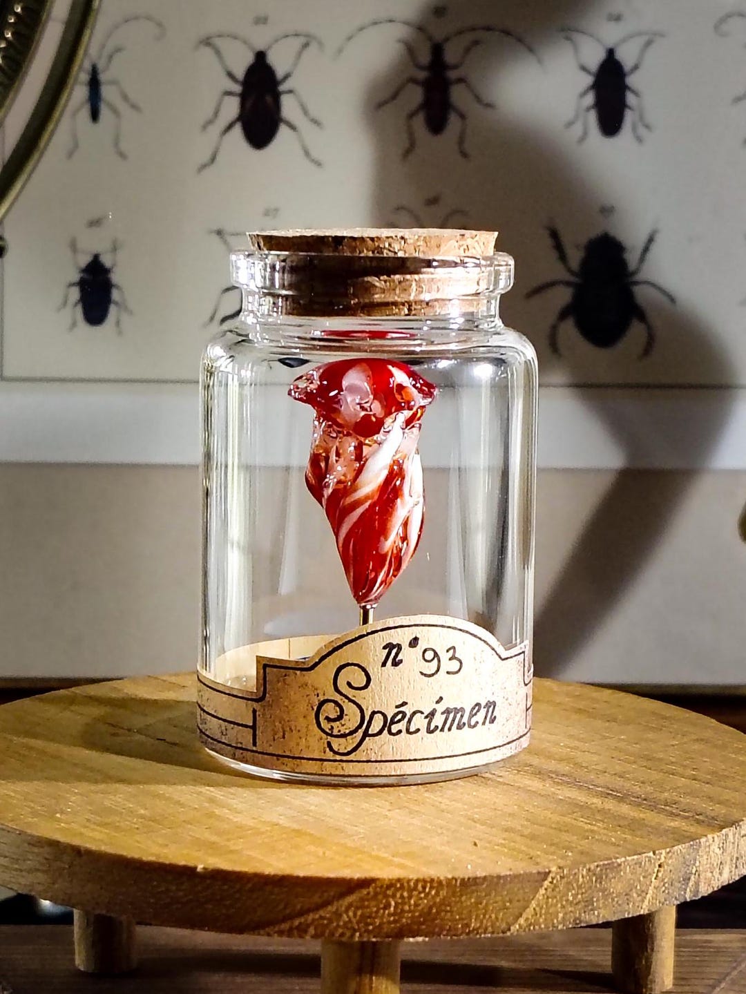 Glass Compass Jellyfish in Its Apothecary Jar for Cabinet of ...