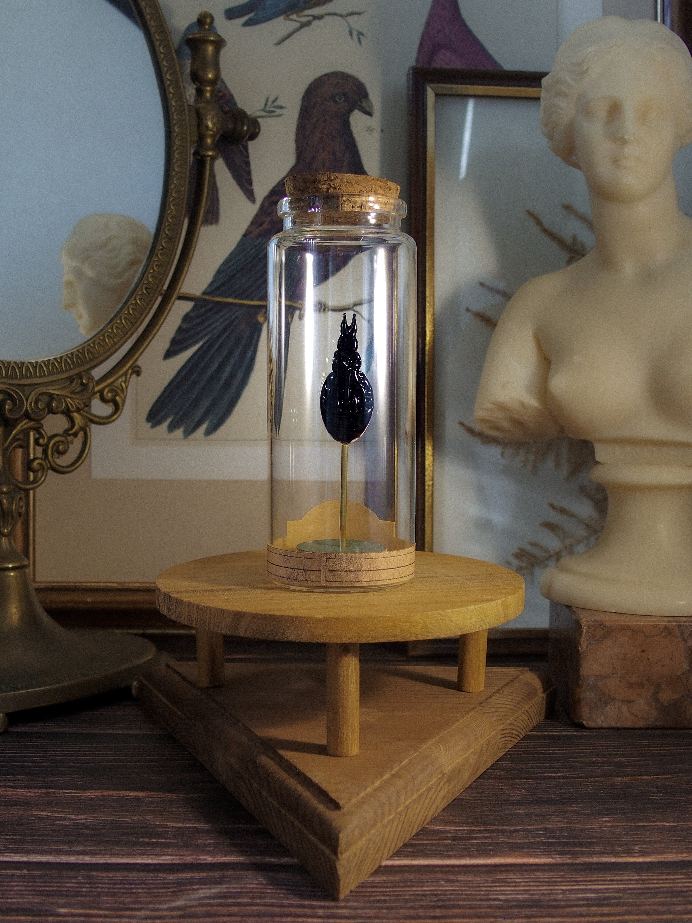 Red and Black Glass Beetle on Cork Base in an Apothecary Glass Bottle ...