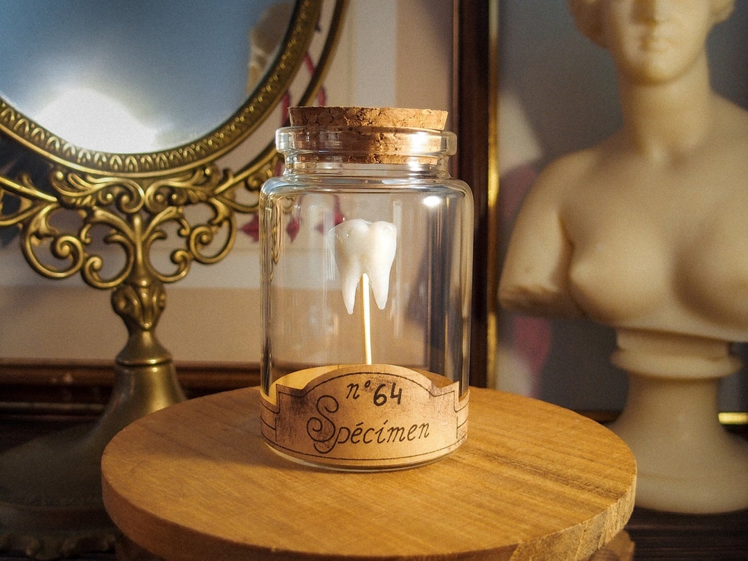 Glass Molar Tooth in Its Apothecary Jar for Cabinet of Curiosities ...