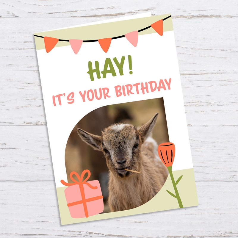 Goat Birthday Card - Etsy