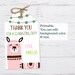 Llama Thank You Tags, Llama Thank You Gift Tag, Llama Favor Tags, Llama ...