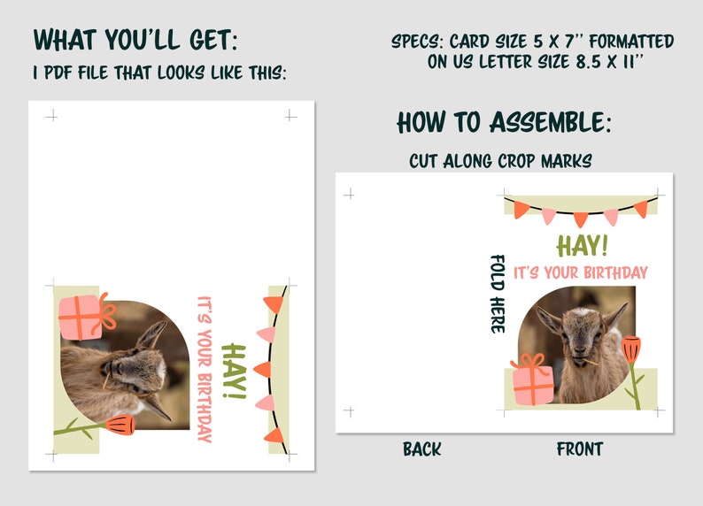 Goat Birthday Card, Goat Birthday Card Printable, Farm Birthday Card ...