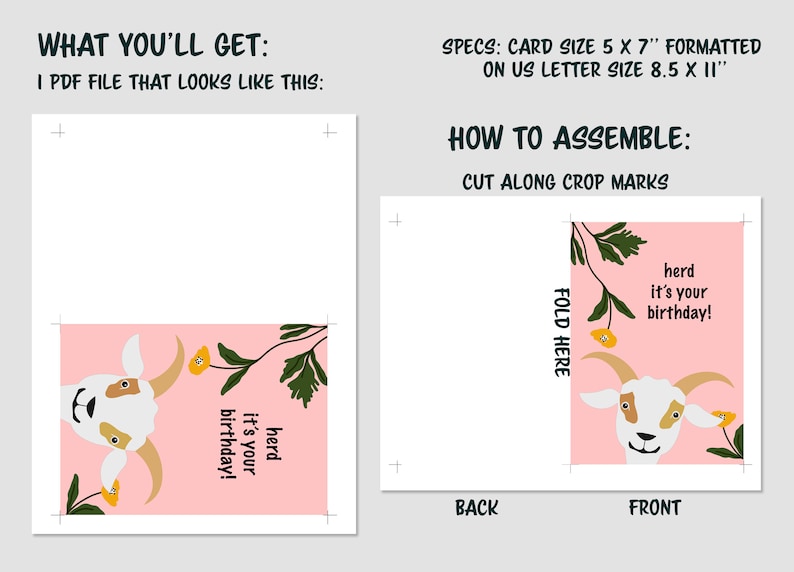Goat Birthday Card, Goat Birthday Card Printable, Farm Birthday Card ...