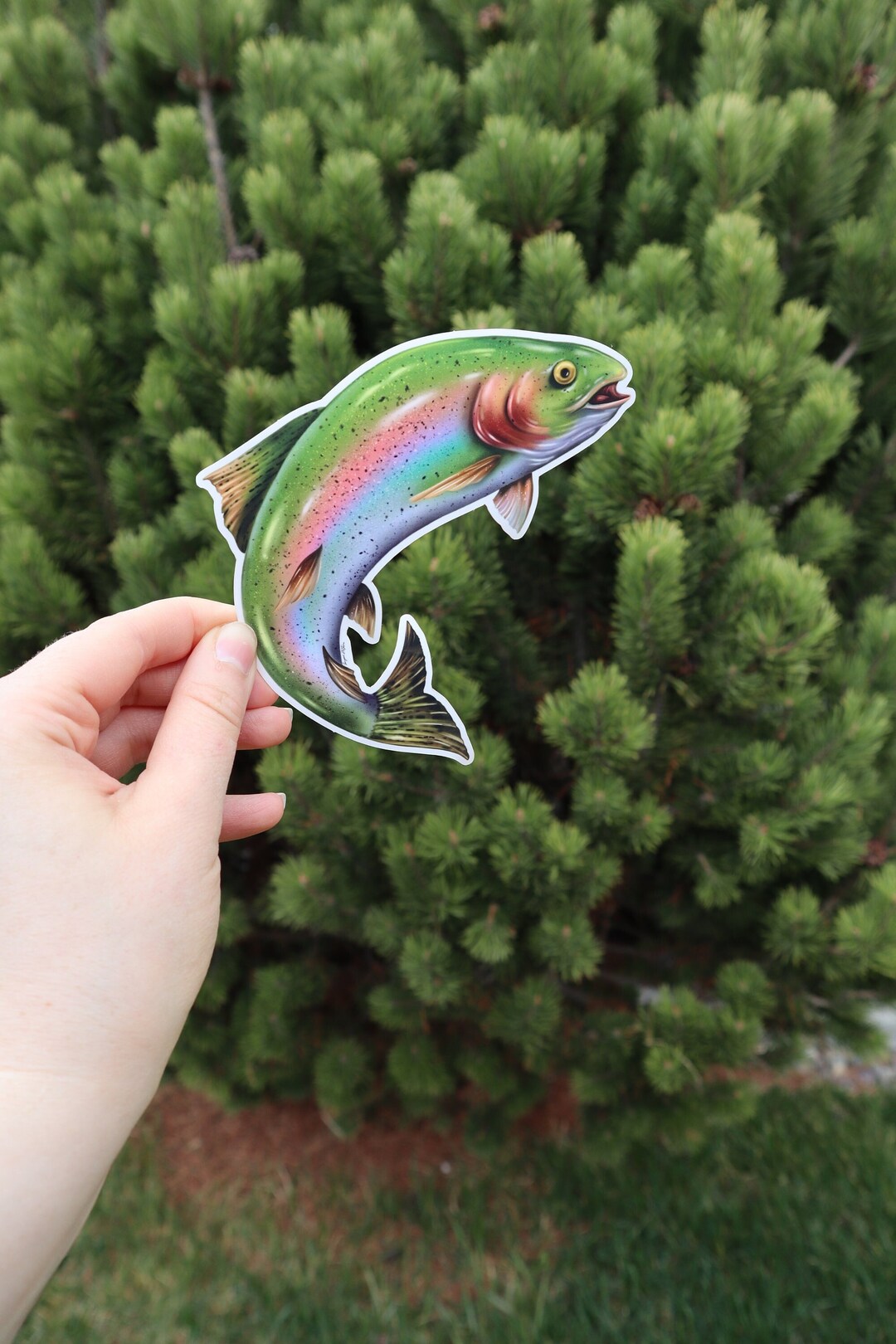 Jumbo Rainbow Trout Vinyl Sticker - Etsy