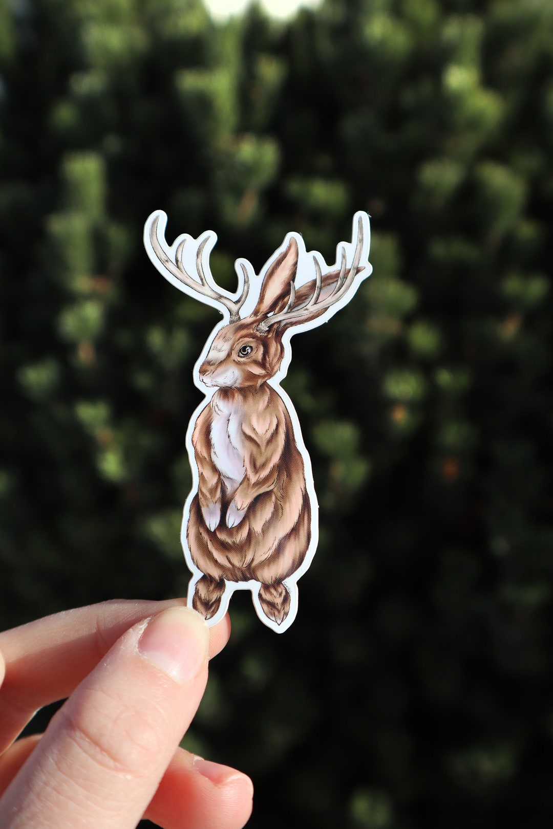 Jackalope Waterproof Vinyl Sticker - Etsy