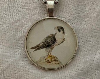 Peregrine Falcon Necklace - Etsy