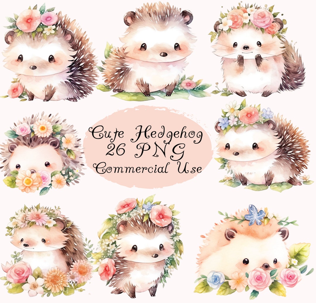 Cute Watercolor Hedgehog Clipart PNG, Safari Animal Clip Art, Spring ...