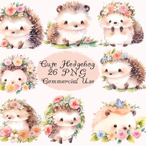 Cute Watercolor Hedgehog Clipart PNG, Safari Animal Clip Art, Spring ...