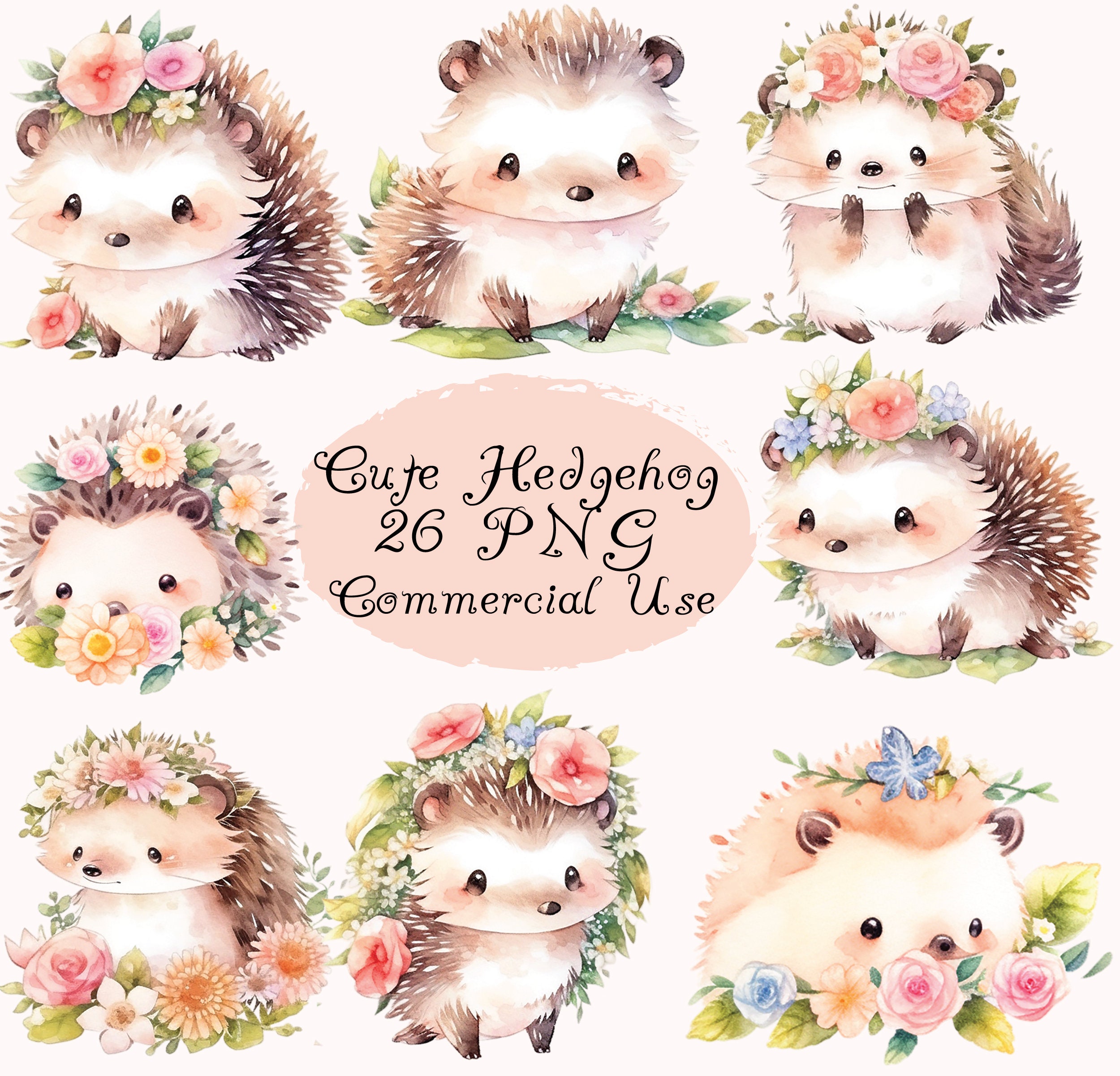 Cute Watercolor Hedgehog Clipart PNG, Safari Animal Clip Art, Spring ...