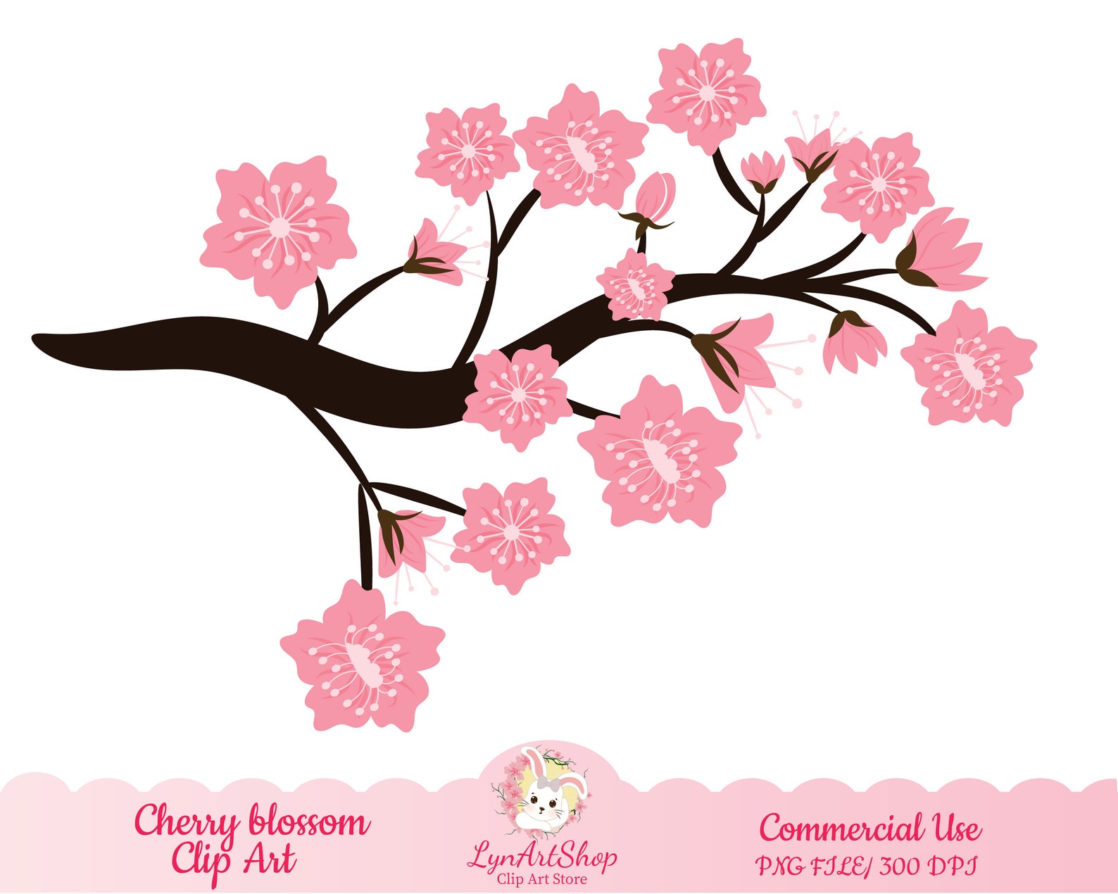 Chery Blossom Png/branch With Blossom Flowers/sakura Cricut/cherry ...