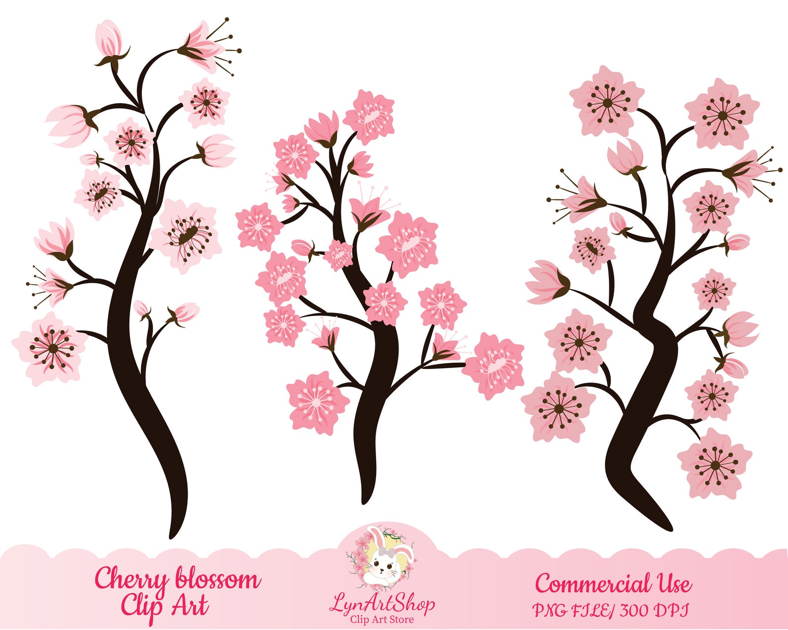 Chery Blossom Png/branch With Blossom Flowers/sakura Cricut/cherry ...