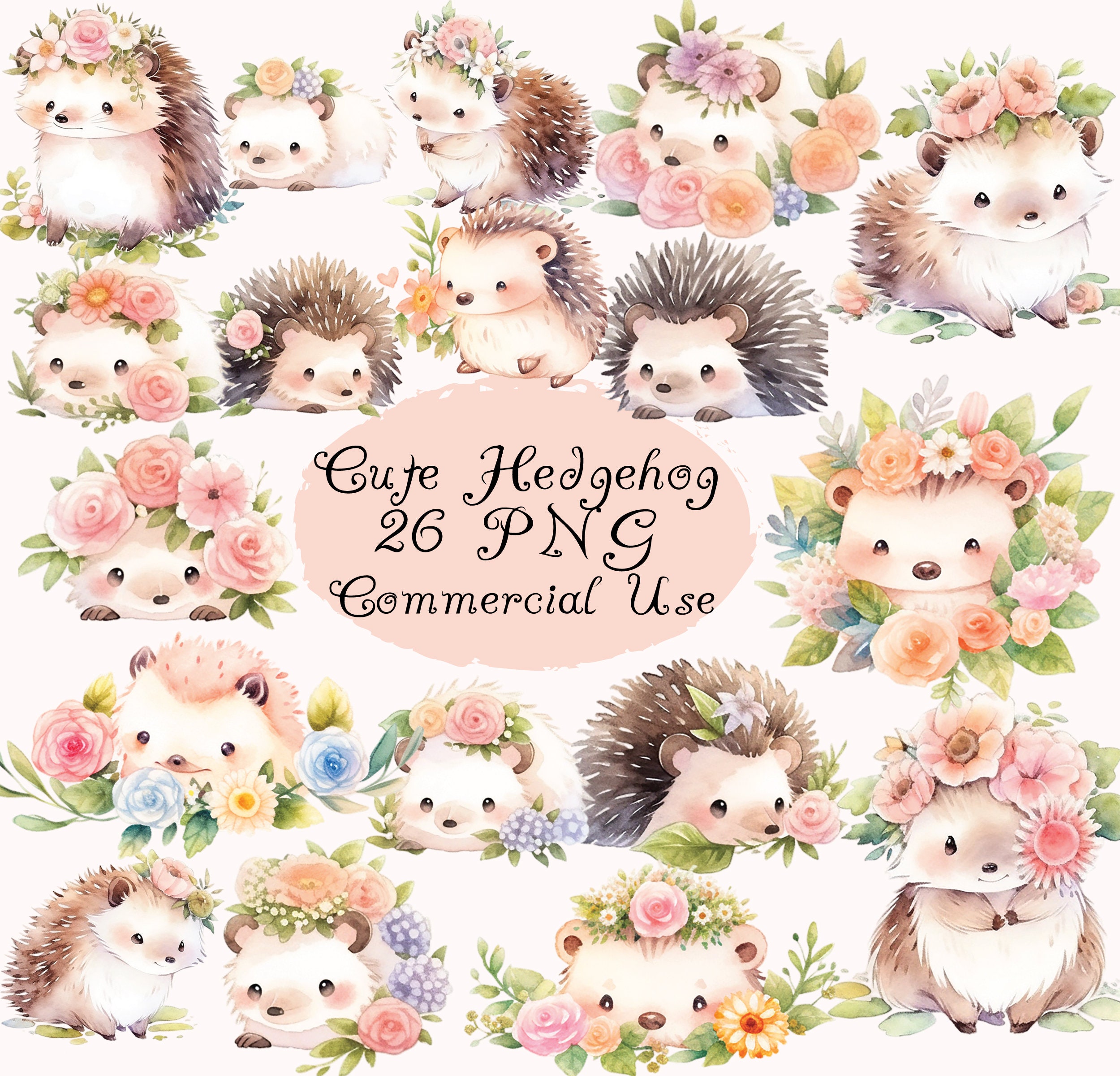 Cute Watercolor Hedgehog Clipart PNG, Safari Animal Clip Art, Spring ...