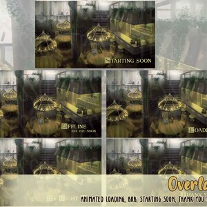 Animated Tavern Bar Rpg Game D&d Twitch Overlays, Base, Starting Soon ...