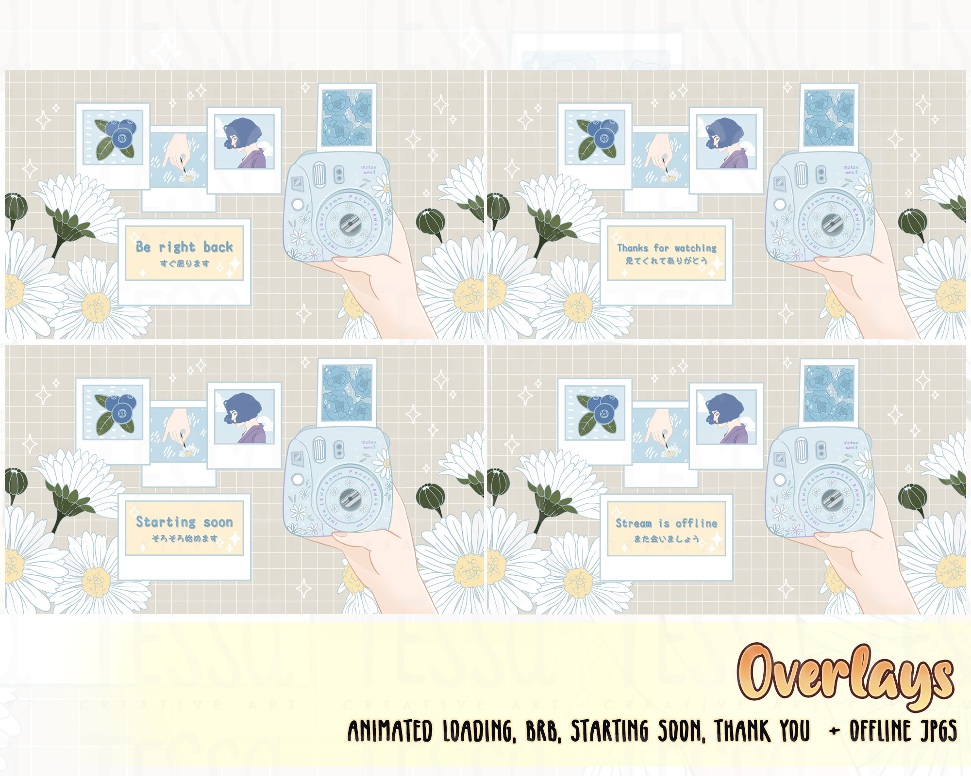 Animated Daisy Flower Cam Twitch Package Kawaii Twitch - Etsy