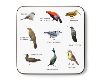 Bird Pun Coasters - Etsy
