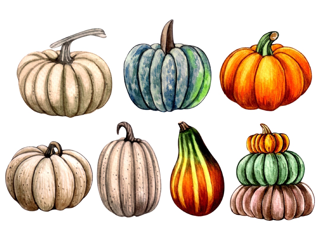 Watercolor Pumpkin Clipart Colorful Pumpkin Art Pumpkin - Etsy