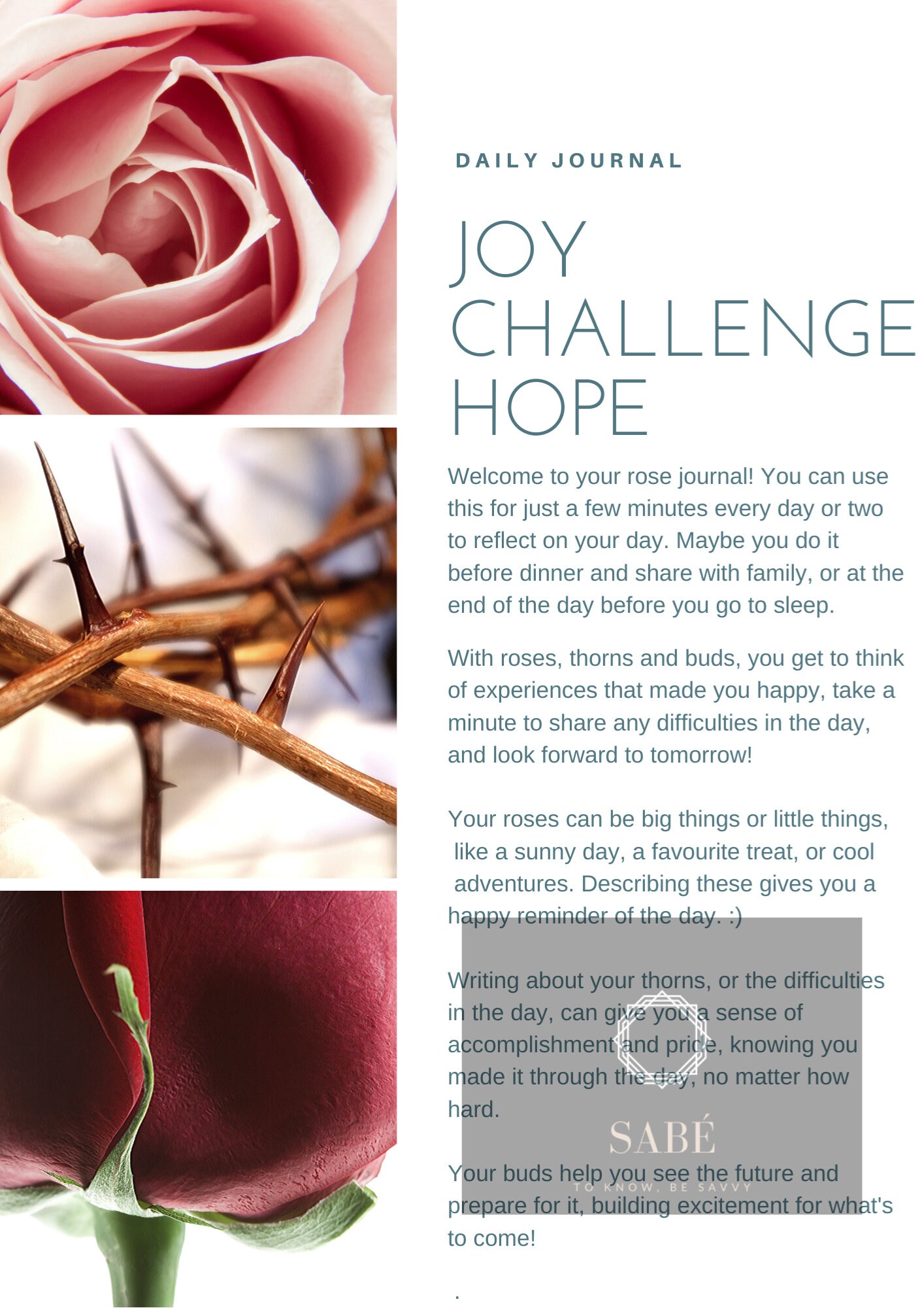 Your Rose Thorn Bud Printable Monthly Gratitude Journal - Etsy