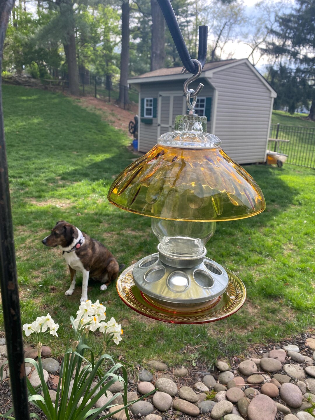 Amber Bird Feeder - Etsy