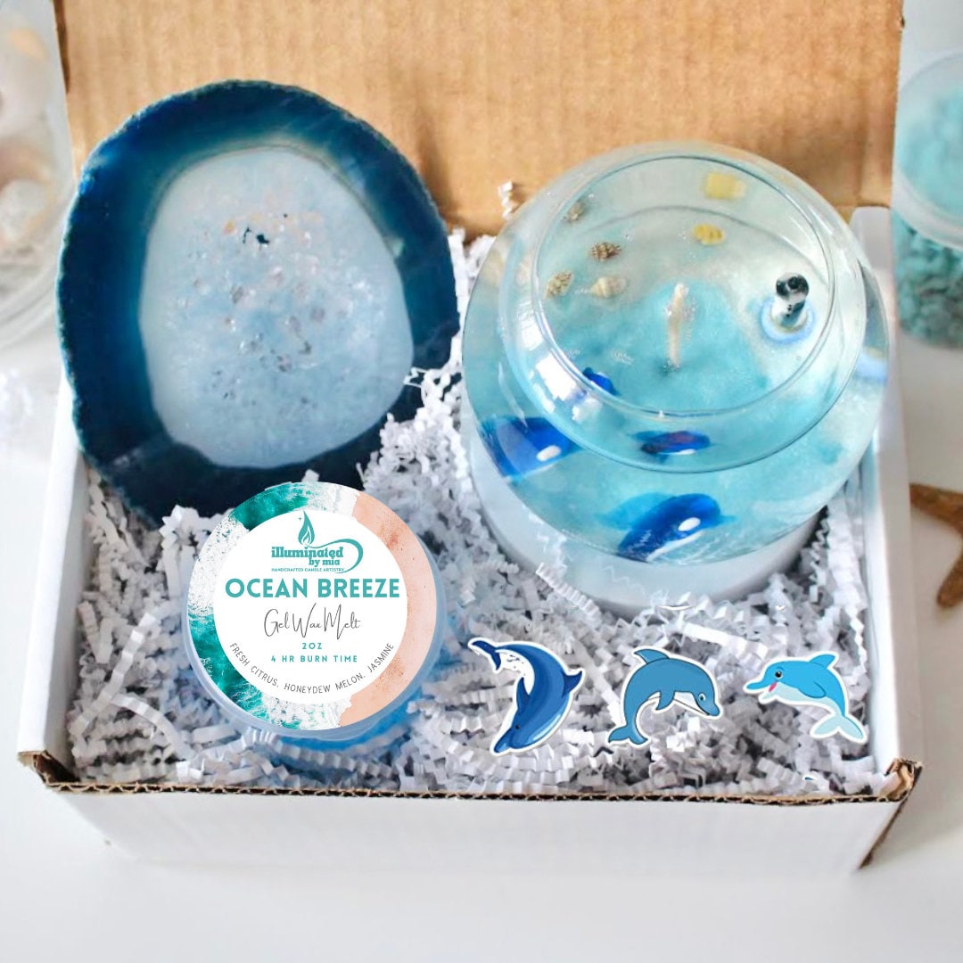 Dolphin Play Gift Box Dolphin Gift Dolphin Lover Dolphins Beach Cute ...