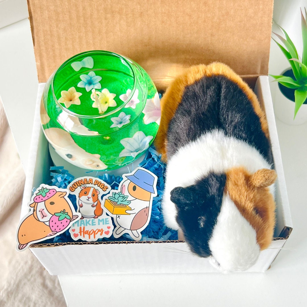 Guinea Pig Gift Box Guinea Pigs Guinea Pig Guinea Pig Gift Guinea Pig ...
