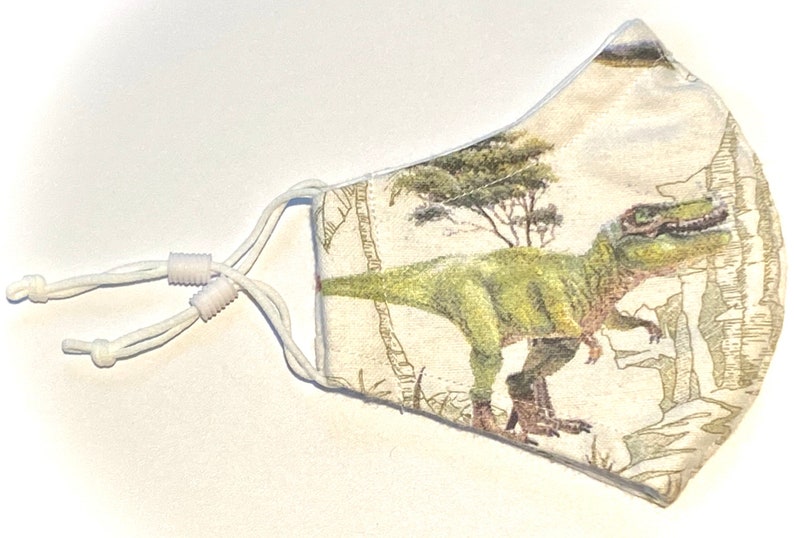 Dinosaurs Pattern. 3D Hybrid Face Mask Customized for Adults & - Etsy