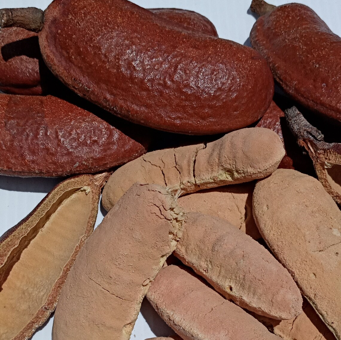 Jamaican Locust Fruit Powder stinking Toe Food Drink West - Etsy Canada