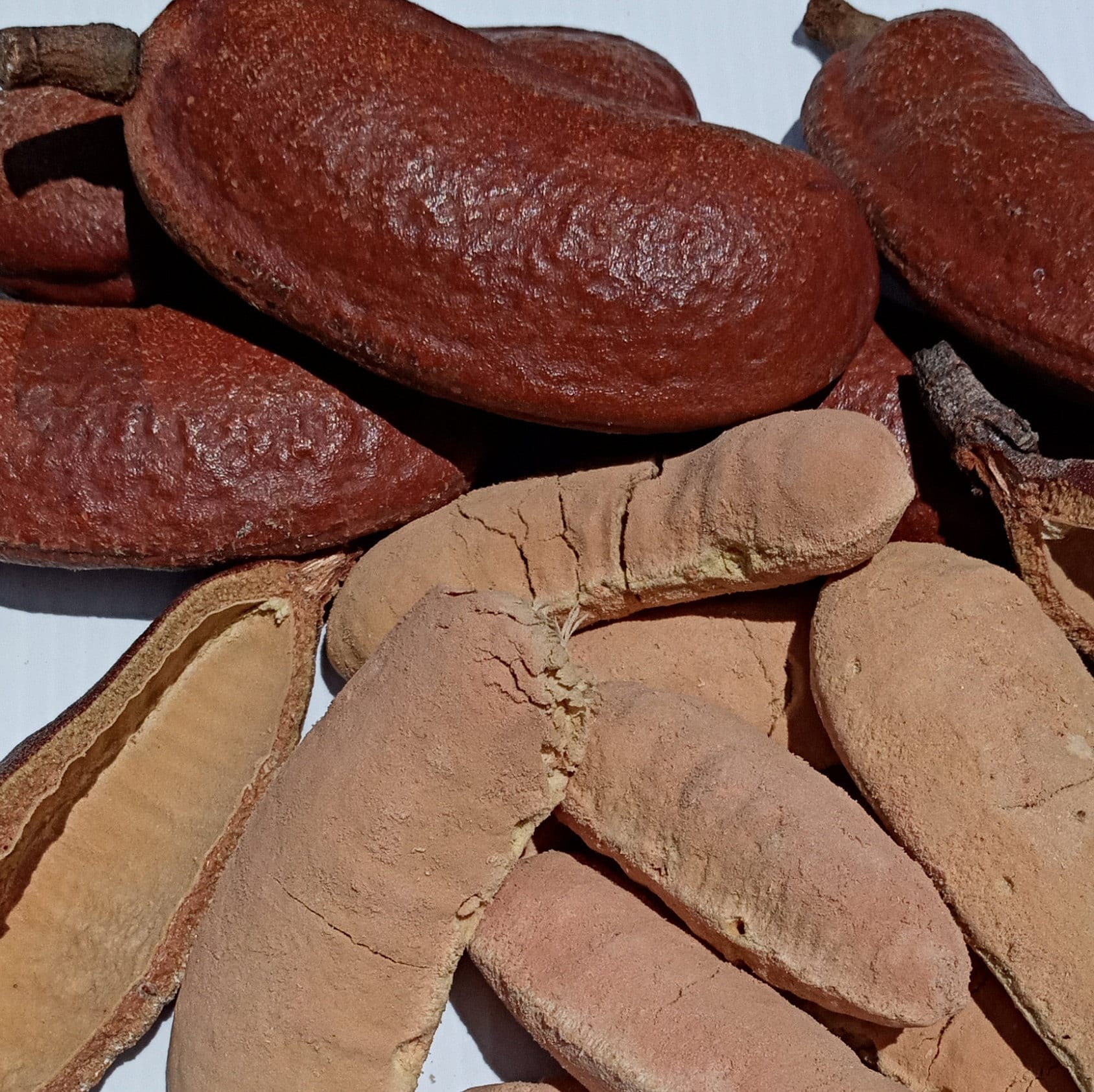 Jamaican Fruit Stinking Toe