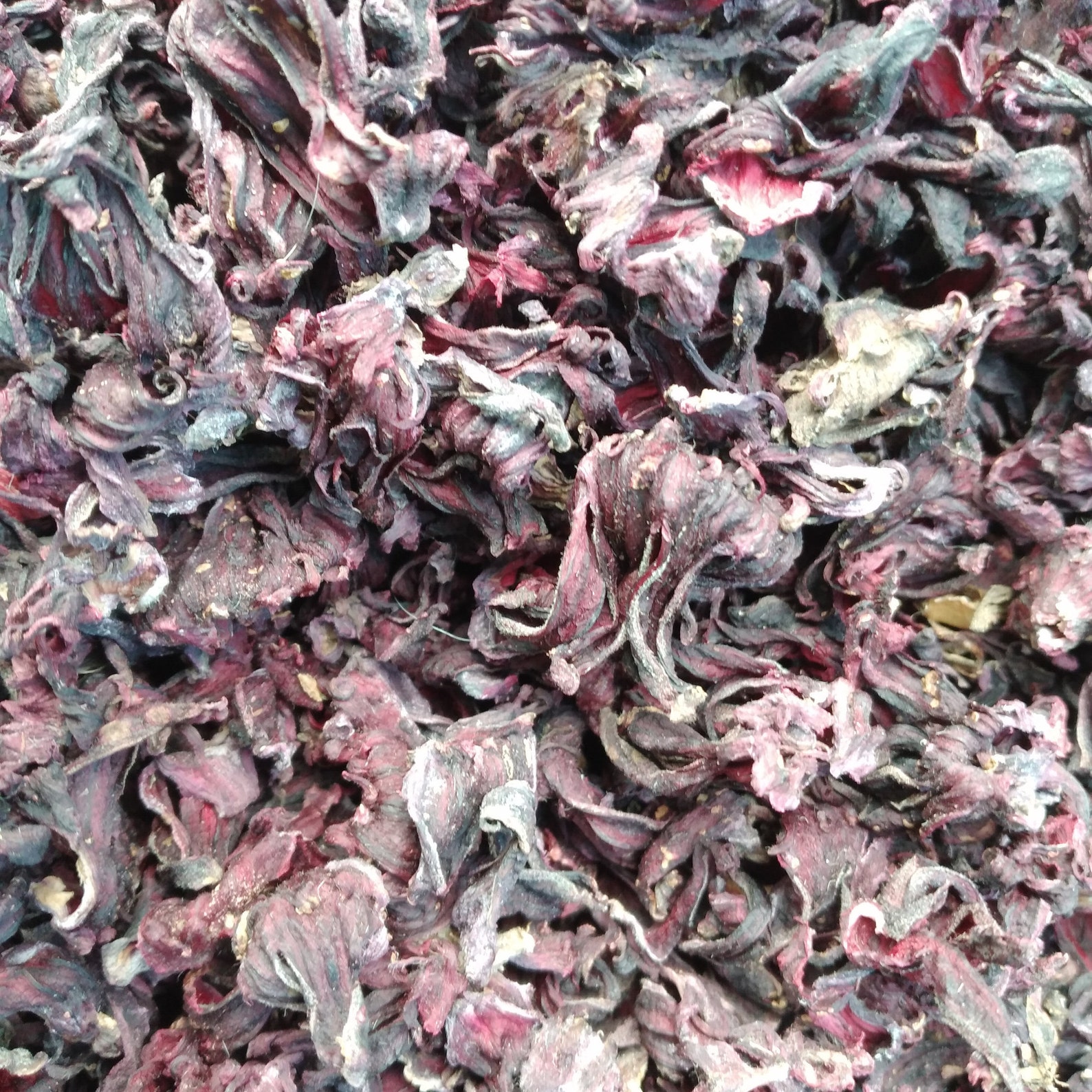 Jamaican Dried Sorrel Flakes Organic | Etsy Canada