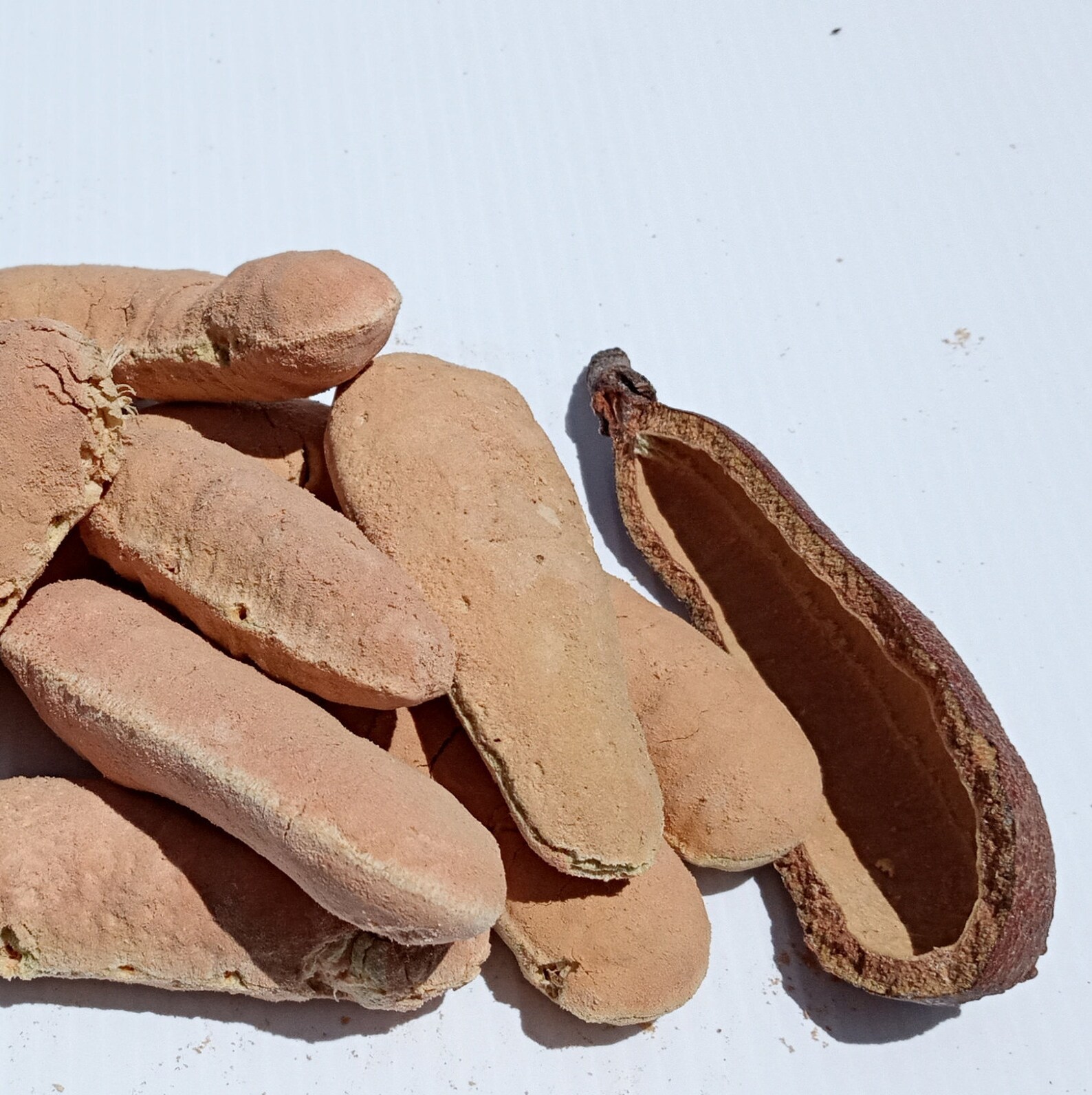 Jamaican Locust Fruit Powder stinking Toe Food Drink West - Etsy Canada