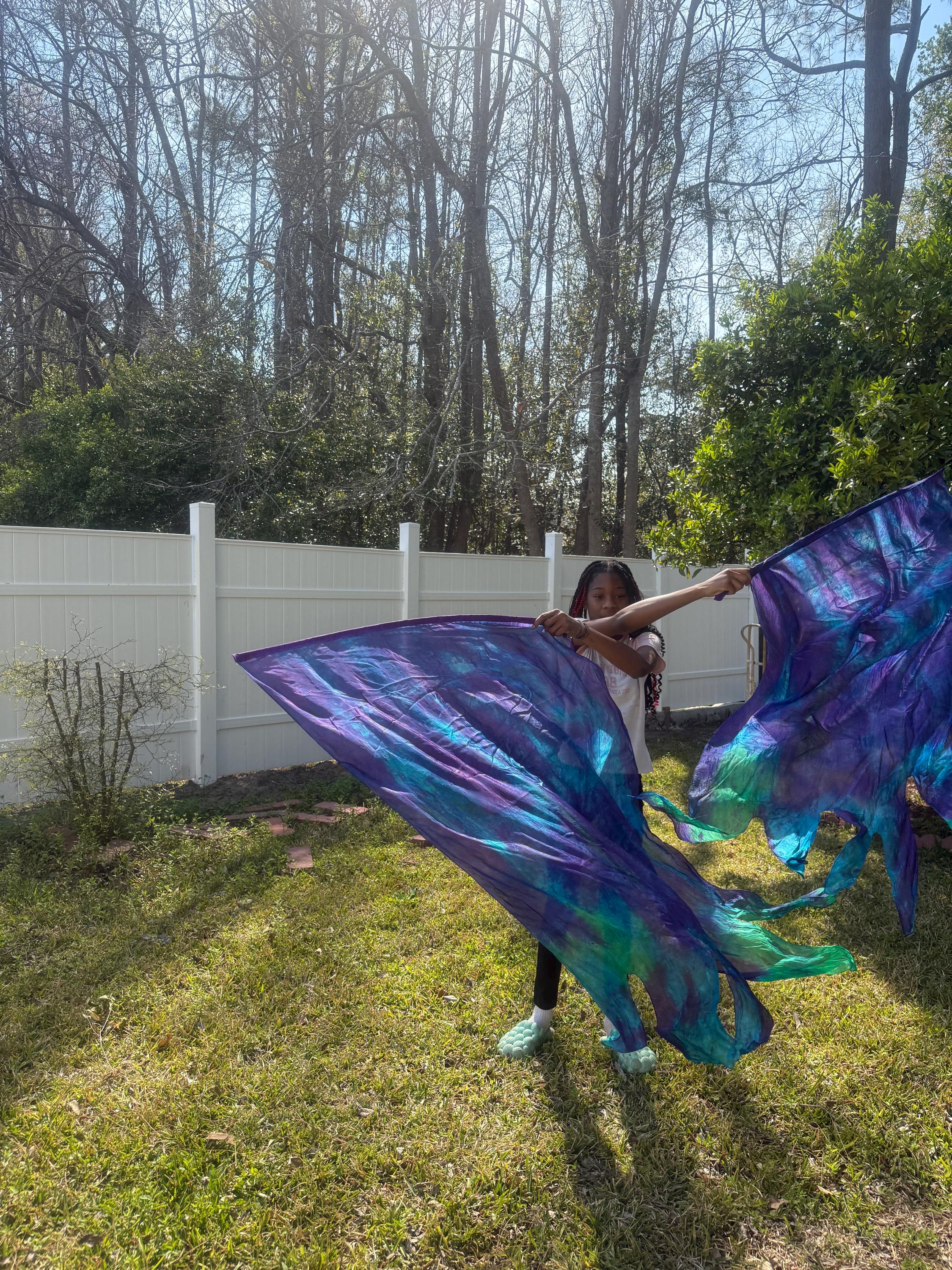 Silk Praise and Worship Dance Flags - Etsy