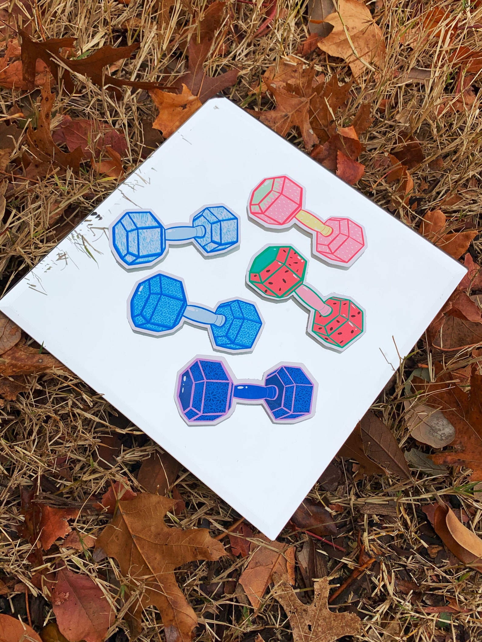 Pack of 5 Dumbbell Stickers Workout, Fitness, Lifting, Gym ...