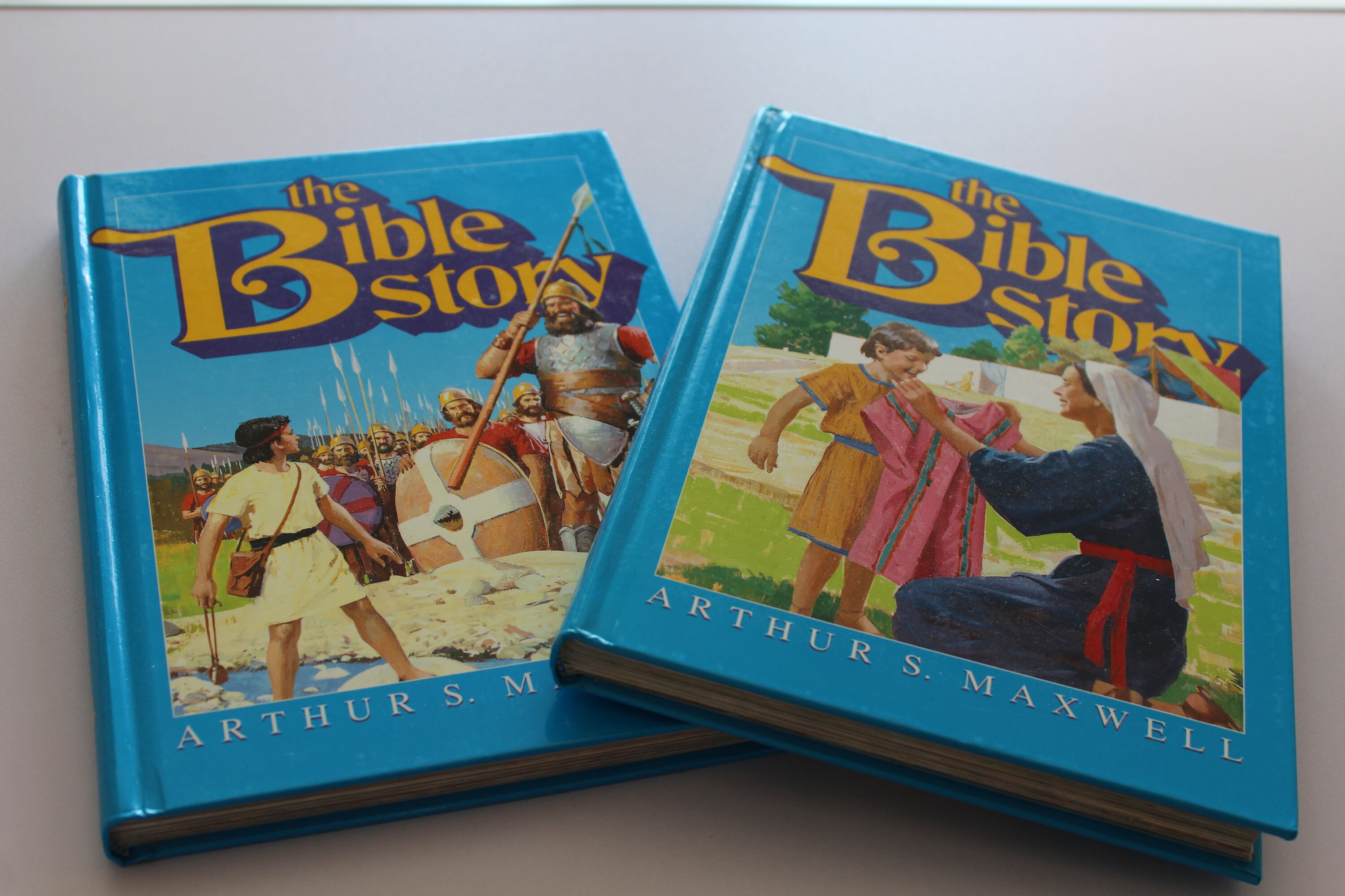 The Bible Story Set - Etsy