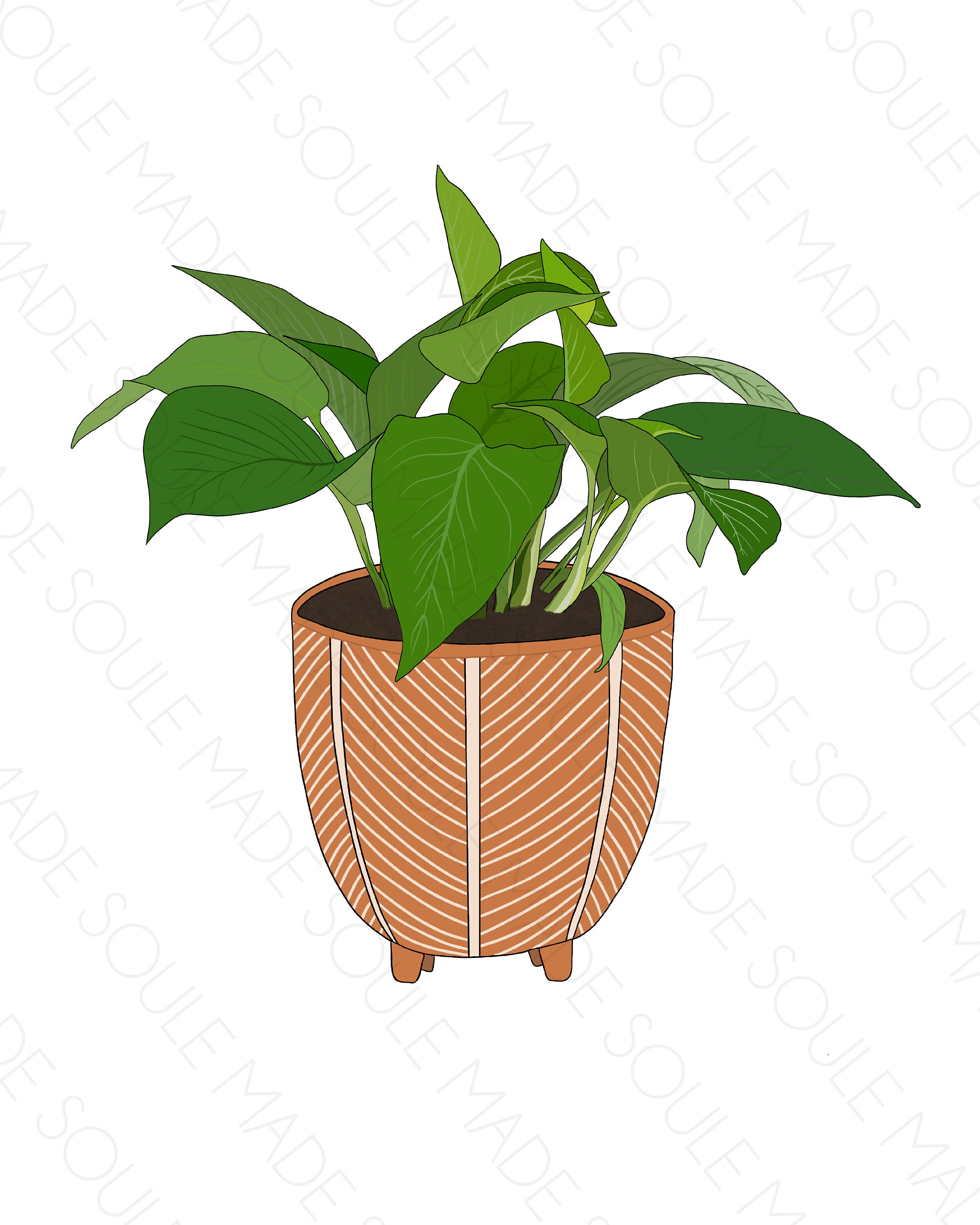 House Plant Art Print • Pothos Plant In Orange Striped Pot • Wall Decor • 8x10 Plant Poster Etsy