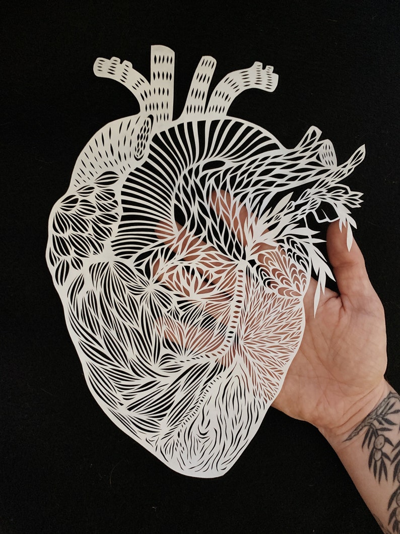 Cut Paper Framed Anatomical Heart 11x14 (made to Order) - Etsy