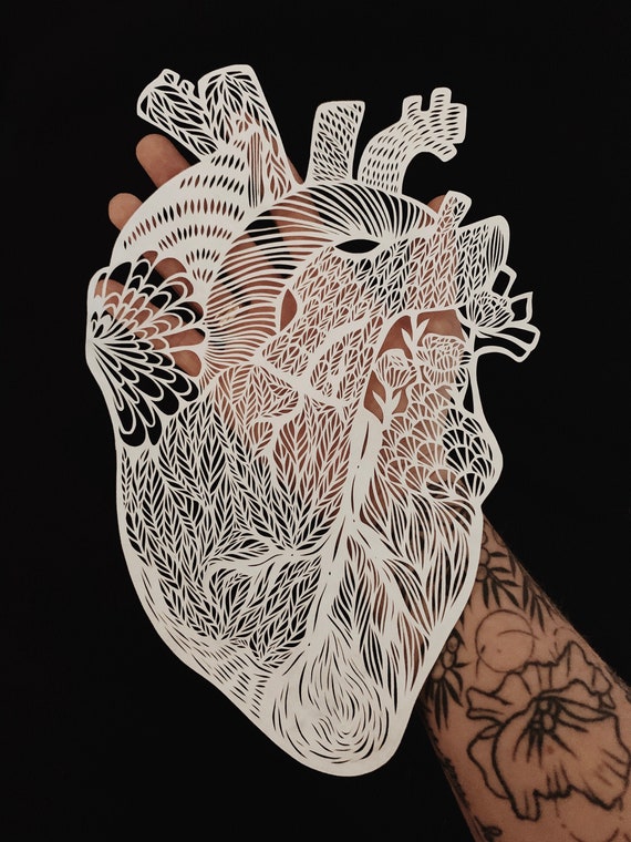 Cut Paper Framed Anatomical Heart 11x14 made to Order | Etsy