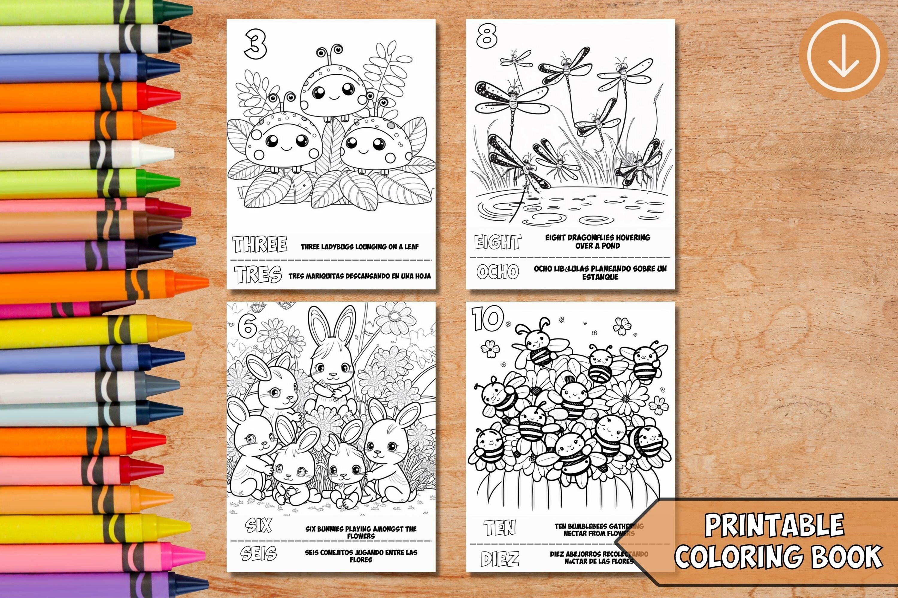 Learn Spanish Numbers With Animals & Insects: Kids Coloring Book ...