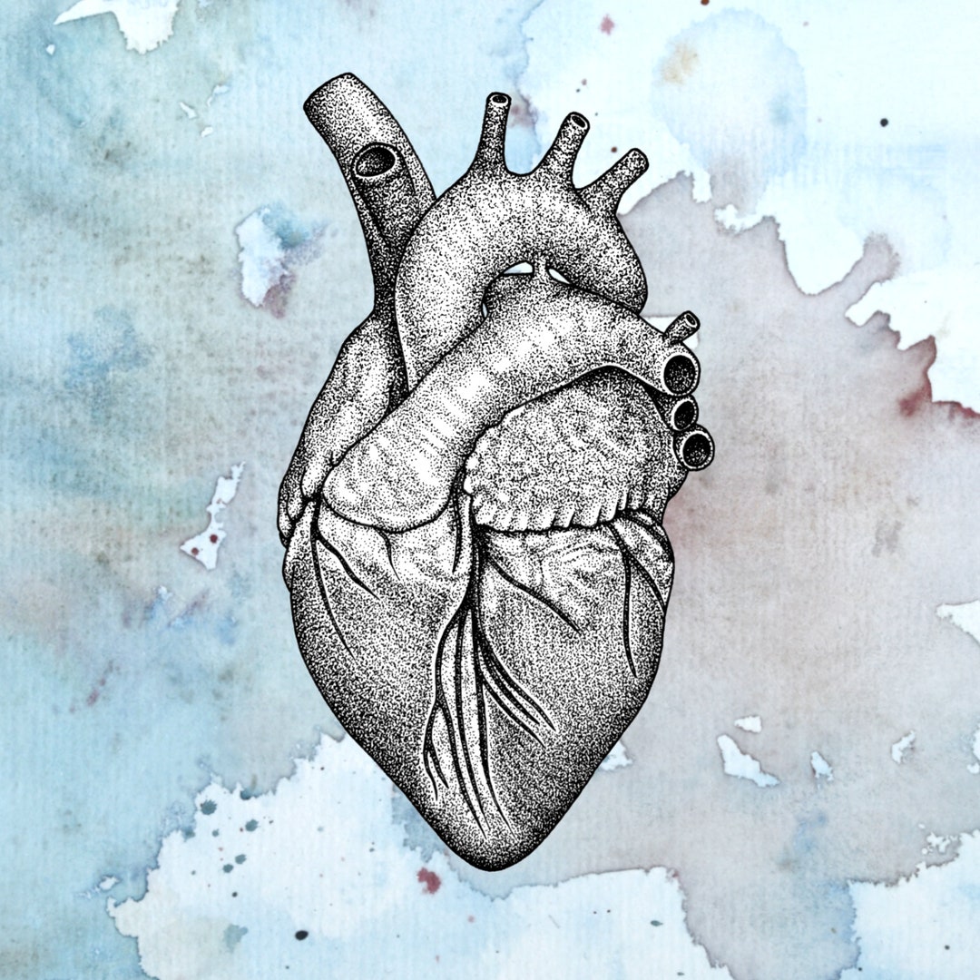 THE HEART - Anatomize Oracle Giclée Print (unframed) - Etsy