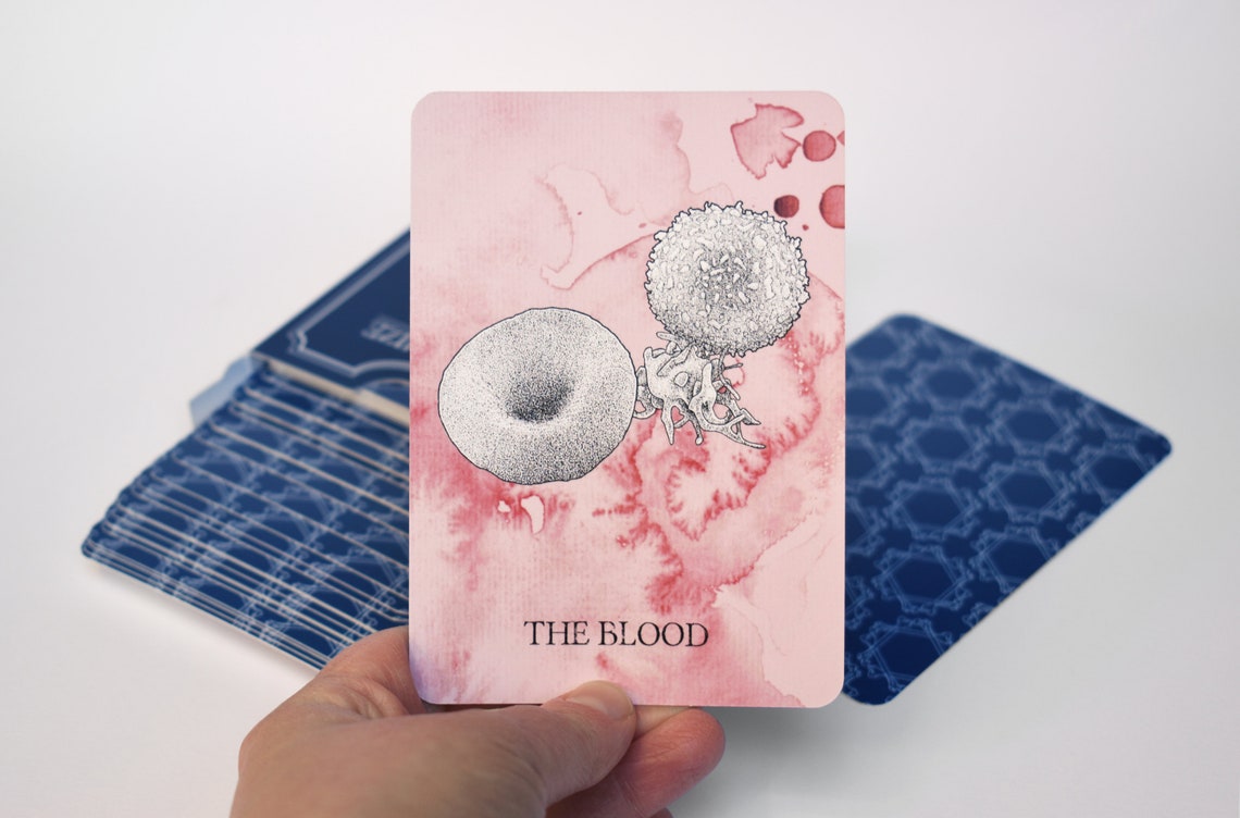 Anatomize Oracle First Edition Deck - Etsy