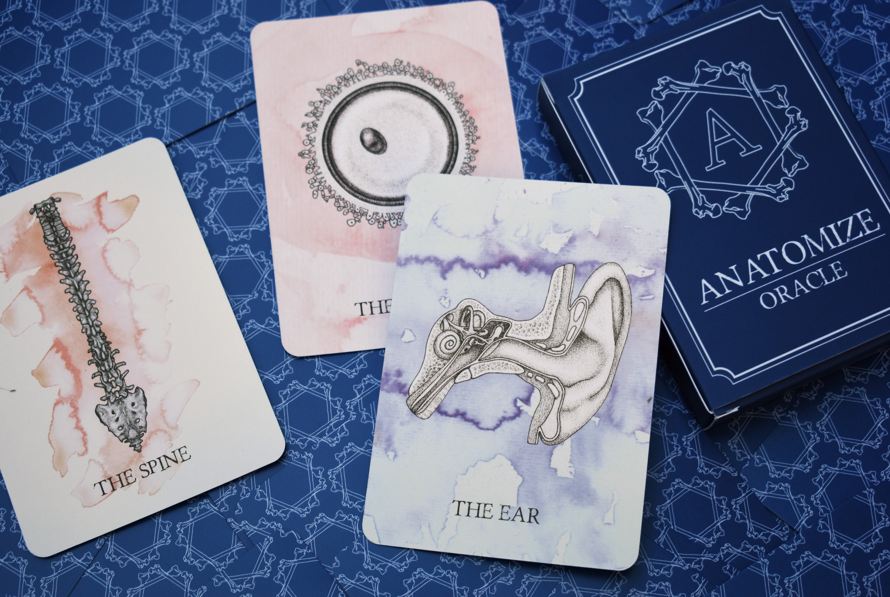 Anatomize Oracle First Edition Deck - Etsy Australia