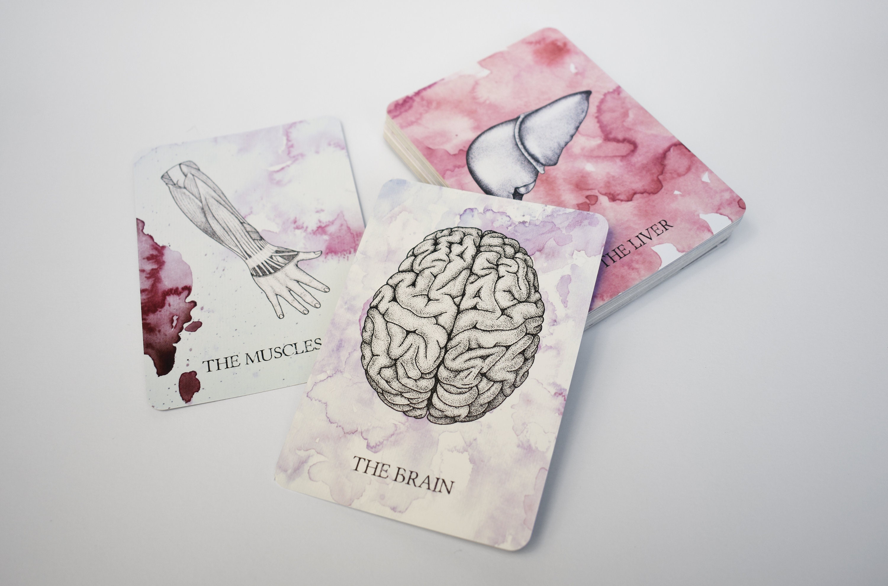 Anatomize Oracle First Edition Deck - Etsy Australia