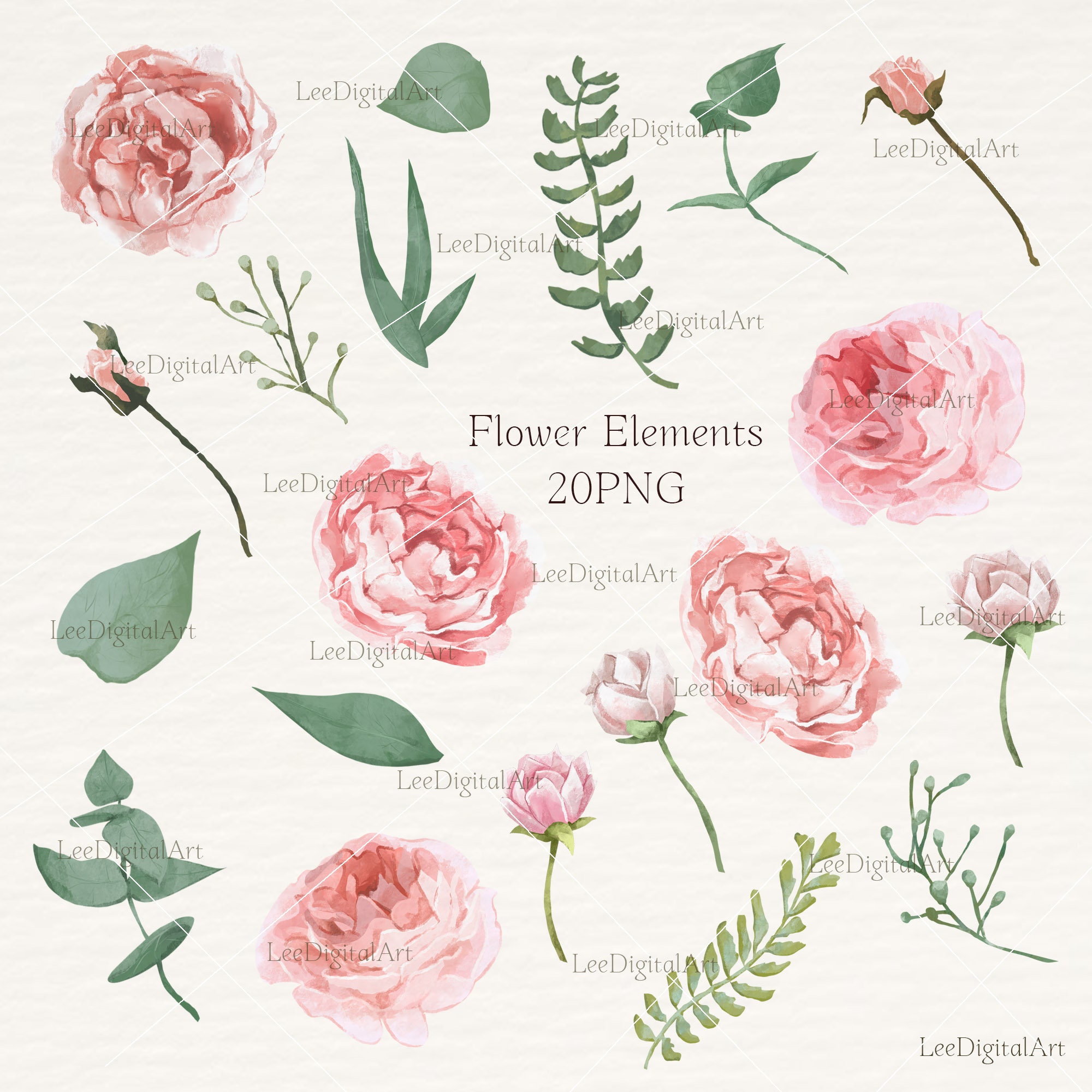 Pastel Roses Clip Art, Pink Flowers PNG, Watercolor Flower Clipart ...