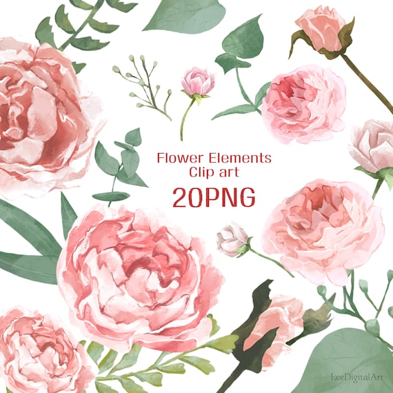 Pastel Roses Clip Art Pink Flowers PNG Watercolor Flower | Etsy