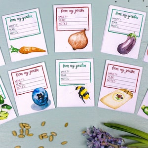Seed Packet Printable, Vegetable Seeding Edition, Direct Download Seed ...