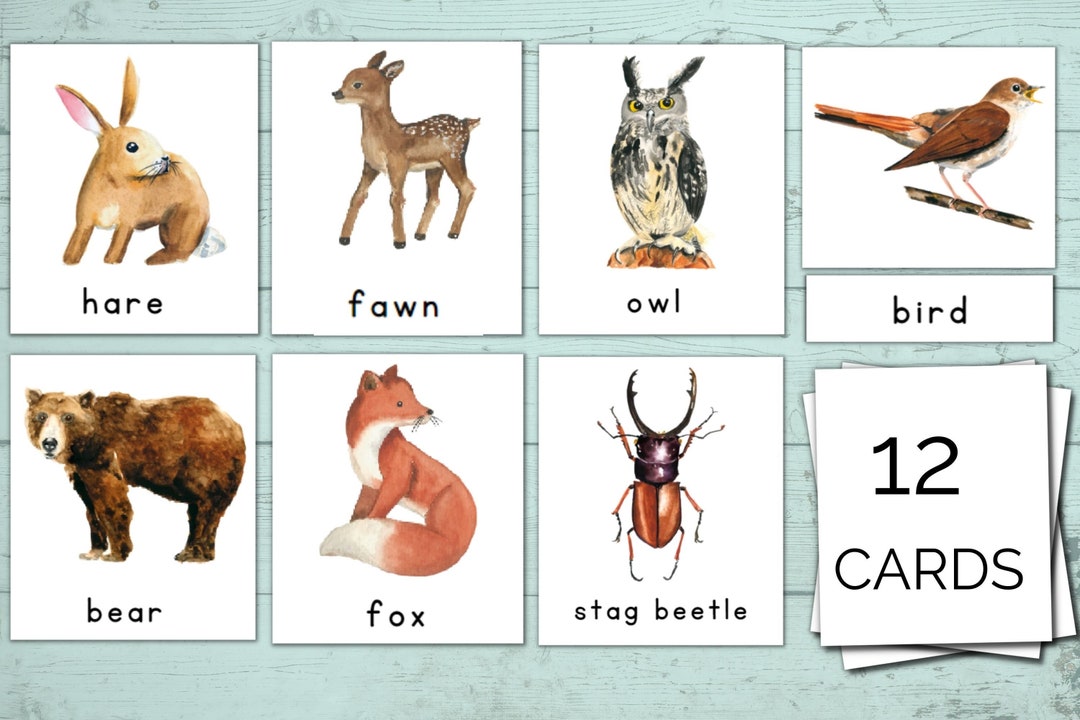 Woodland Animals Montessori Printable, Montessori Three Part Cards ...