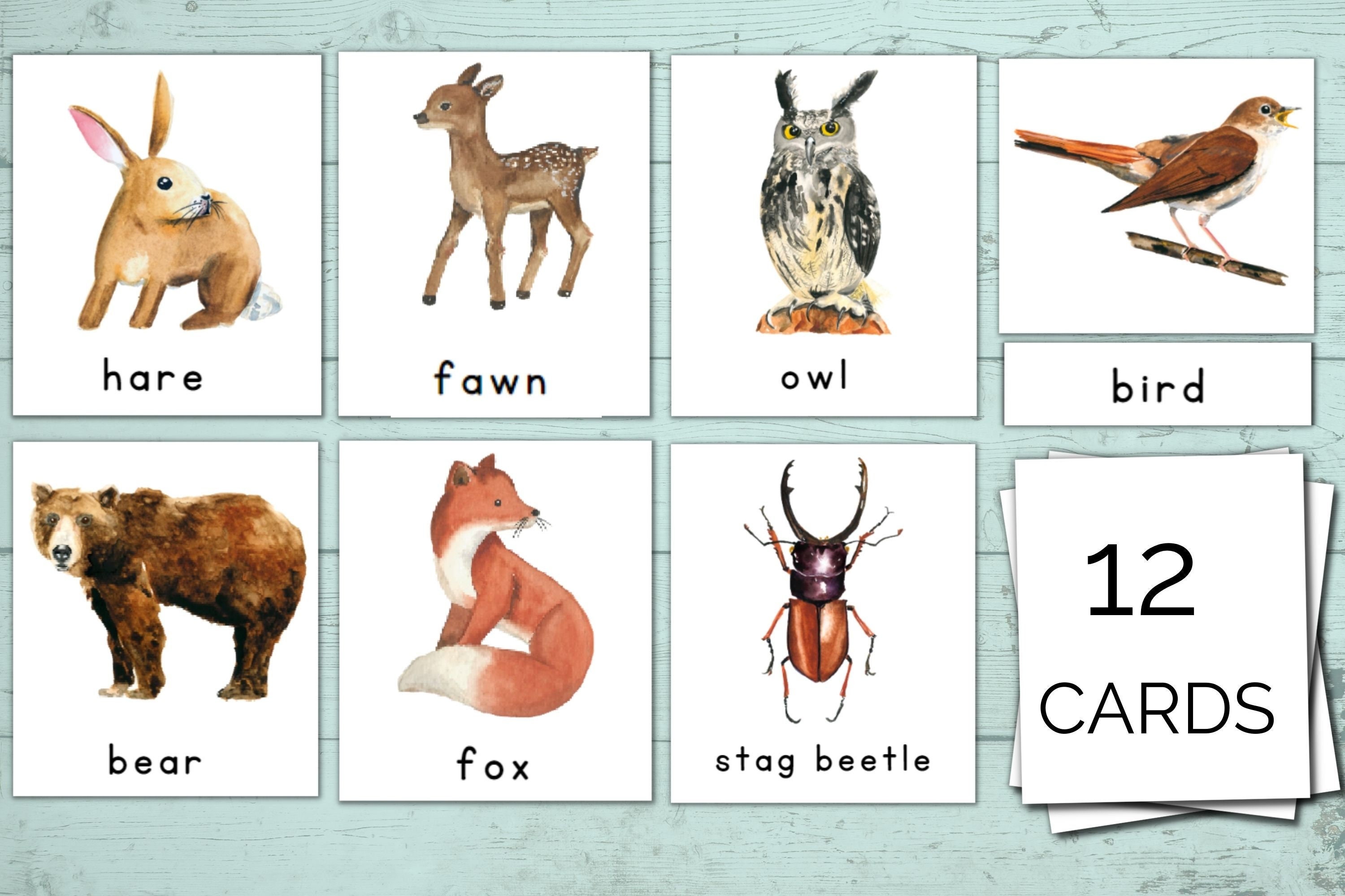 Woodland Animals Montessori Printable, Montessori Three Part Cards ...