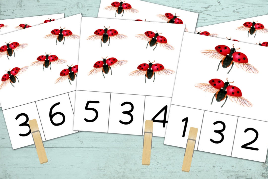 Ladybug Count and Clip Cards #1-20, Numbers 1-20 Flash Cards, Counting ...